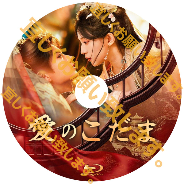 C868. 愛のこだま – DramaWorld